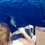 Estepona: Dolphin Search Boat Trip with Drink and Snacks - Key Points