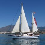 Estepona: Dolphin Watching Sailboat Cruise with Drink - Authentic Experiences and Review Insights