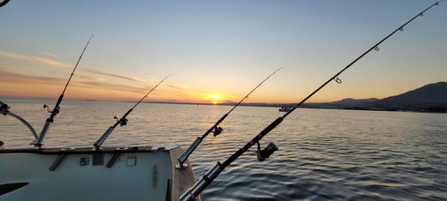 Estepona: Fishing Tour StartFisher 1060 - What to Expect from Your Fishing Day