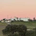 Estremoz, Alentejo, Portugal: Wine tour & Wine tasting - Why This Tour Works