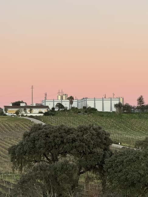 Estremoz, Alentejo, Portugal: Wine tour & Wine tasting - Why This Tour Works