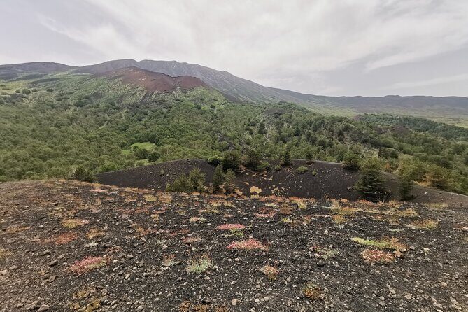 Etna 4WD - The Overall Experience: Highlights and Limitations