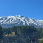 Etna and Wine: an experience among craters, volcanic landscapes, and Sicilian flavors. - Authenticity and Value