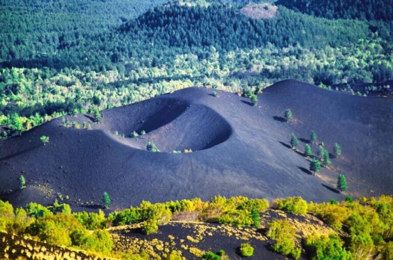 Etna Monti Sartorius, Ancient wine cellar Slow Food tasting - Practical Details: Making the Most of Your Day