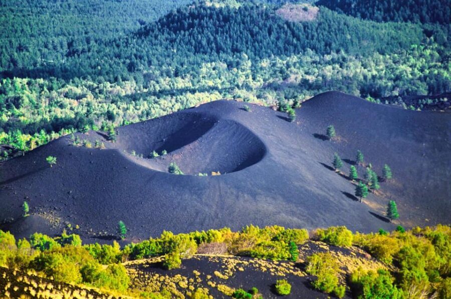 Etna Monti Sartorius, Ancient wine cellar Slow Food tasting - Practical Details: Making the Most of Your Day
