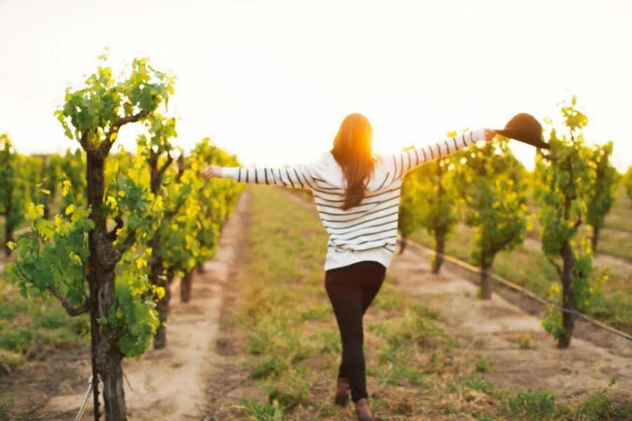 Etna Quad & Wine Combo Private Tour - Who Should Consider This Tour?