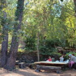 Etna & Sea: Pic Nic in Batia - A Closer Look at the Experience