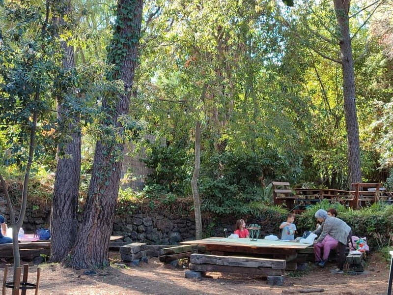 Etna & Sea: Pic Nic in Batia - A Closer Look at the Experience