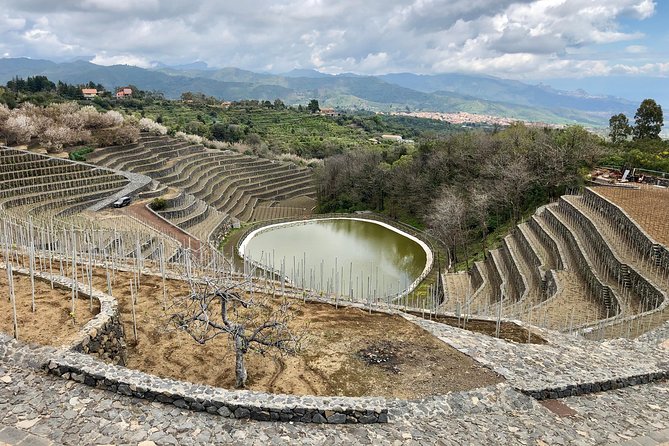 Etna tour 4x4 & Wine Experience in a farm - Introduction