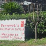 ETNA VILLAGES: OIL & RICOTTA TASTING with Lunch - Why We Think This Tour Offers Good Value