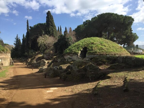 Etruscopolis: Once Were Etruscans - Key Points