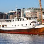 Eveningcruise Arctic Bliss Tour with Sami Dinner and Joiking - Final Thoughts