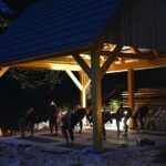 Everyday Yoga Class, Soa (Bovec) - Location and Accessibility
