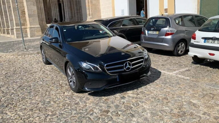 Evora Ancient City & The Alentejo Private Luxury Wine Tour - Traveling Comfortably in a Private, Air-Conditioned Vehicle