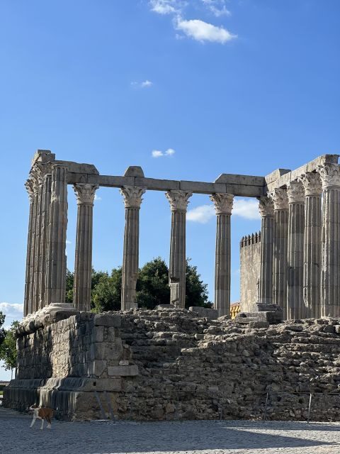 Évora: Ancient Roman Temple & Kings Christ Tour - Breathtaking Views from Kings Christ Statue