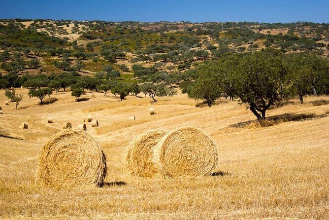 EVORA & MONSARAZ FULL-DAY PRIVATE TOUR with winery, cork & gourmet tavern - FAQ