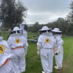 Évora or Montemor: Beekeeping, Chocolate factory, Wine tasting - Who Should Consider This Tour?