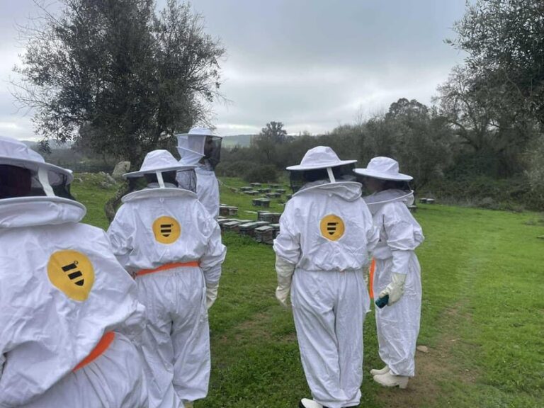 Évora or Montemor: Beekeeping, Chocolate factory, Wine tasting - Who Should Consider This Tour?