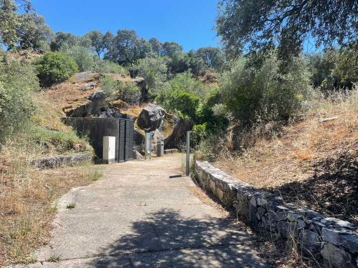 Évora or Montemor: Guided Tour of the Escoural Caves - What Makes This Tour Stand Out?