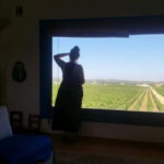 Évora & Wines: A Taste of Authentic Alentejo - Walking Through Évora’s UNESCO Heritage Site