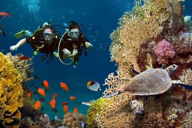 Exciteful Scuba Diving Experience in Antalya - Detailed Breakdown of the Tour Experience