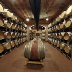 Exclusive Assisi and Sagrantino di Montefalco Wines - Visiting Wineries & Tasting Sessions