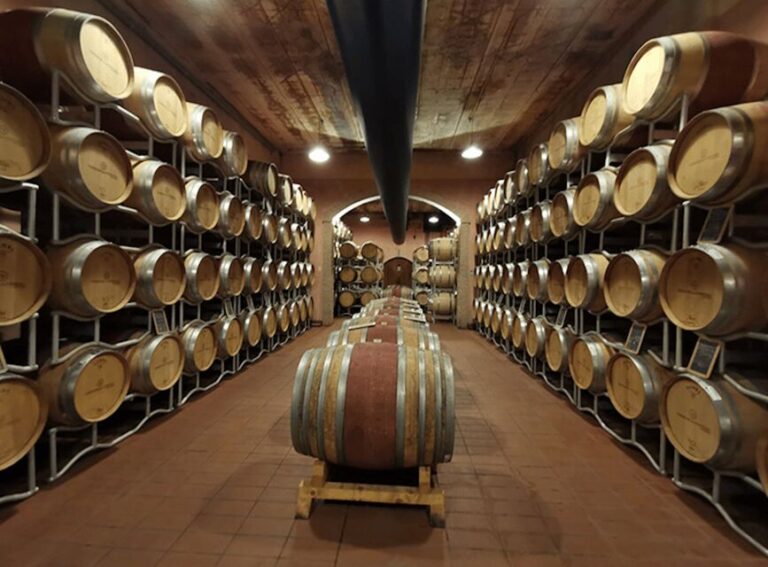 Exclusive Assisi and Sagrantino di Montefalco Wines - Visiting Wineries & Tasting Sessions