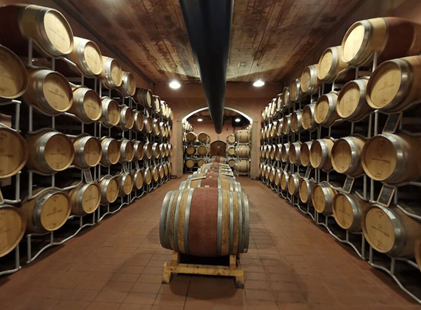 Exclusive Assisi and Sagrantino di Montefalco Wines - Visiting Wineries & Tasting Sessions