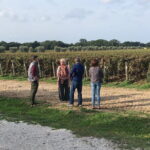 Exclusive Assisi & Sagrantino di Montefalco Wines from Florence - Exploring the Itinerary in Detail