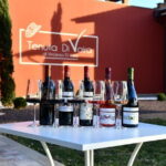 Exclusive Bolgheri from Florence: The Land of the Super Tuscan - Final Thoughts