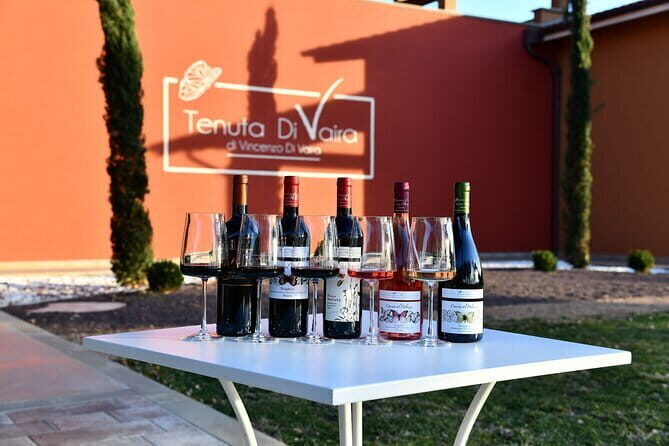 Exclusive Bolgheri from Florence: The Land of the Super Tuscan - Final Thoughts