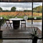 Exclusive Bolgheri Full-Day Wine Tour from Florence - Analyzing the Value and Experience