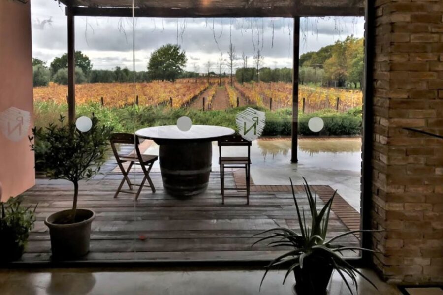 Exclusive Bolgheri Full-Day Wine Tour from Florence - Analyzing the Value and Experience