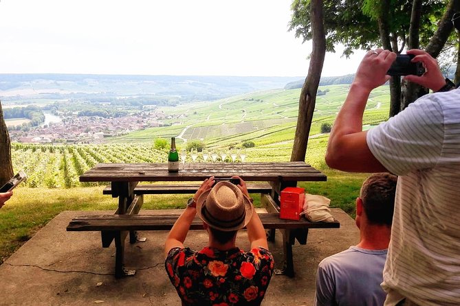 Exclusive Champagne Cellars & Dom Perignon Vineyards tour - Key Points