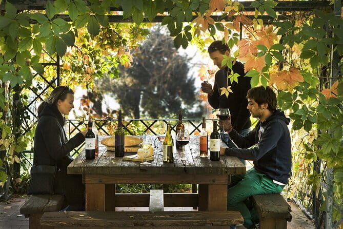 Exclusive Chianti Rufina Half Day Tour with Lunch from Florence - Discover the Charm of Chianti Rufina on a Private Half-Day Tour from Florence
