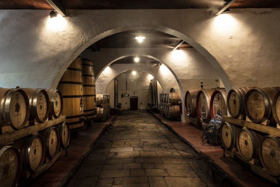 Exclusive Chianti Rufina Half-Day with lunch from Florence - Is this tour worth it? A detailed look