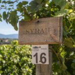 Exclusive Cortona Tour, Land of Tuscan Syrah - FAQ