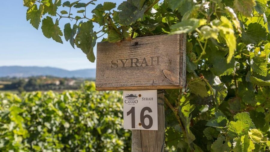 Exclusive Cortona Tour, Land of Tuscan Syrah - FAQ
