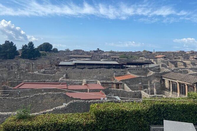 Exclusive Half-Day Tour in Pompeii with skip the line tickets - FAQ