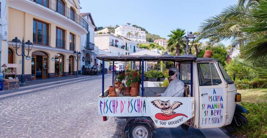 Exclusive Ischia Tour from Sorrento with Local Guide - Who Will Love This Tour?