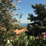 Exclusive Kefalonia Gems - Culture, Nature & Flavors - A Deep Dive into the Itinerary