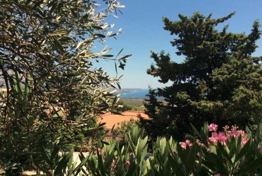 Exclusive Kefalonia Gems - Culture, Nature & Flavors - A Deep Dive into the Itinerary