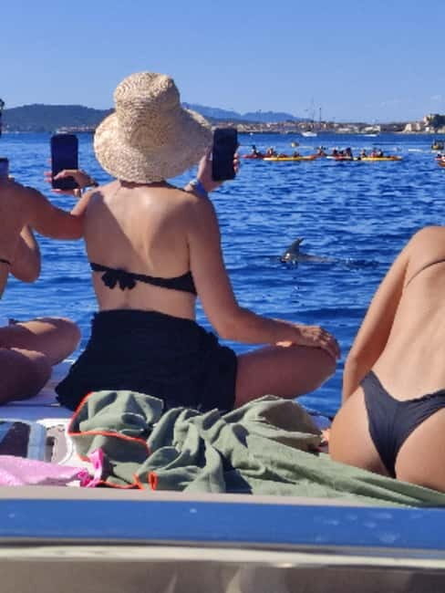 Exclusive motor boat dolphins watch - Setting Sail: What to Expect from the Tour