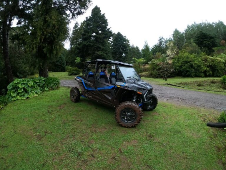 Exclusive Private Buggy Adventure: Forest and Mountains - A Genuine Look at the Madeira Buggy Adventure