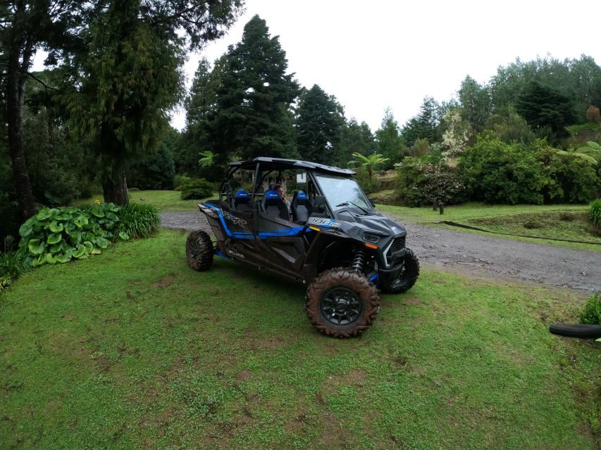 Exclusive Private Buggy Adventure: Forest and Mountains - A Genuine Look at the Madeira Buggy Adventure