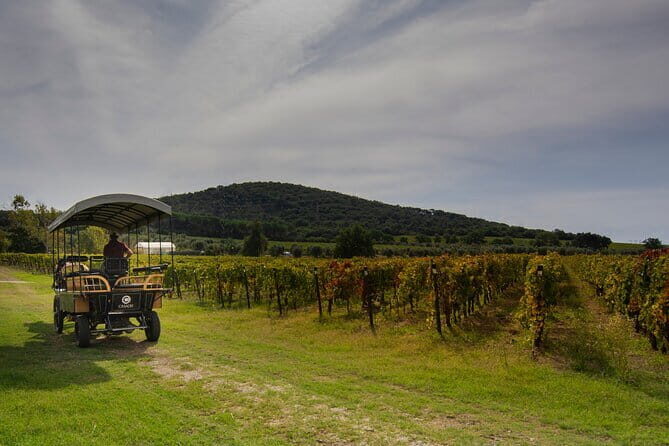 Exclusive Suvereto tour from Florence: Land of Elisa Bonaparte - The Itinerary in Detail