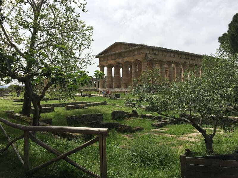 Exclusive Tour: Paestum Excavations and Cheese Factory Visit with Tasting and Lunch - Why the Lunch Matters