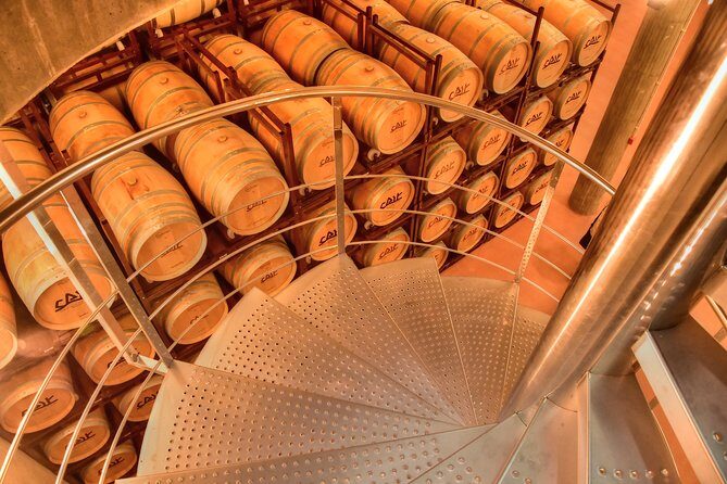 Exclusive tour: Ribera del Duero "like a native", with lamb in a wood oven - Why This Tour Offers Great Value