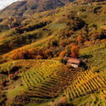 Exclusive Tour through the Riva Gemin - What Makes This Tour Special?