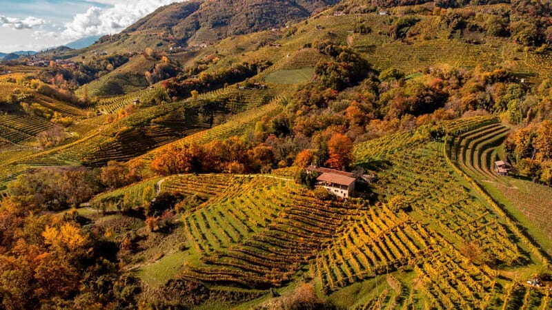 Exclusive Tour through the Riva Gemin - What Makes This Tour Special?